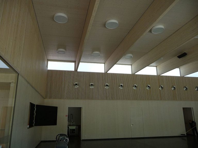 Unveiling the Wonders of Acoustic Ceilings: A Sound Solution | DA ...
